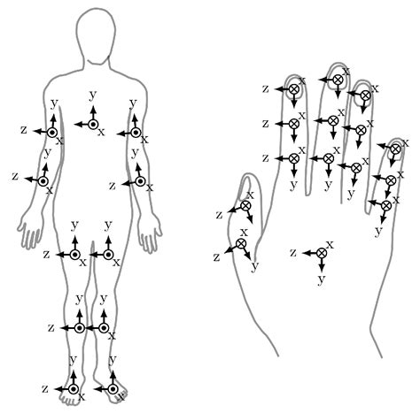 Coordinate Systems — Qmt Documentation