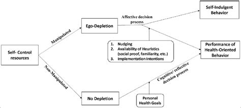 Decision Process Framework Source The Authors Download Scientific