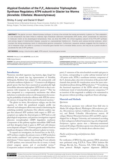Pdf Atypical Evolution Of The F 1 F O Adenosine Triphosphate Synthase