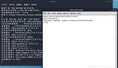 kali linux python环境配置 包的安装方法、工具的选择与使用 kali怎么看python路径 csdn博客