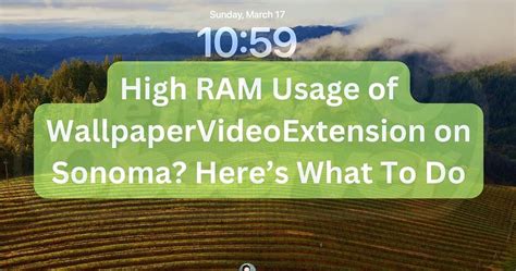 Fix Wallpapervideoextension High Ram Usage On Macos Sonoma The Mac Observer