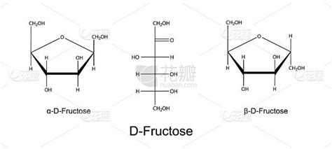 果糖 D 果糖的结构化学式