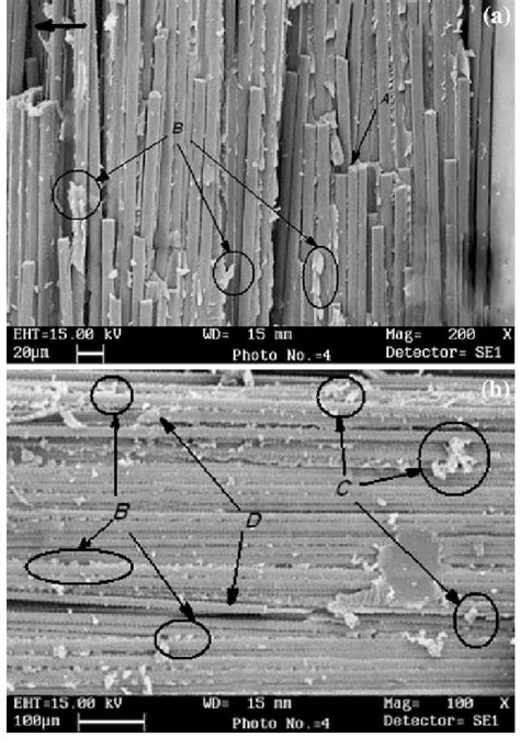 A Initiation Fracture Surface B Propagation Fracture Surface Of Pure