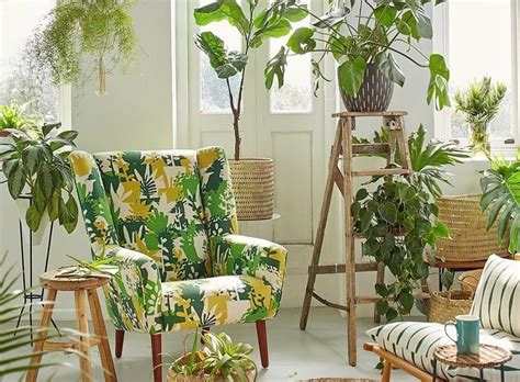 Стелажі і полиці для кімнатних рослин види і приклади