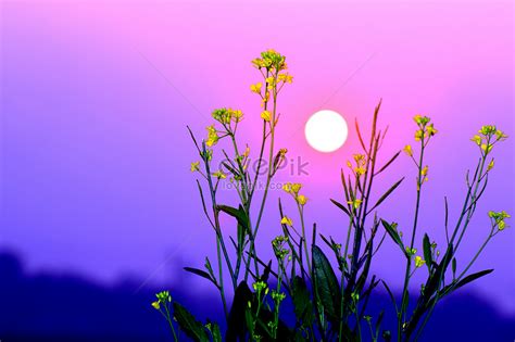 마을 일몰 사진 무료 다운로드 Lovepik