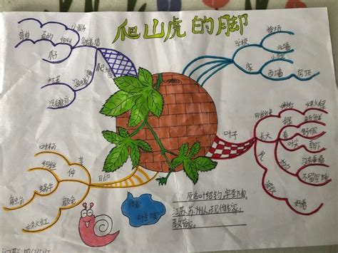 爬山虎的脚思维导图 爬山虎的脚思维导图怎么画 图片 网专笔记
