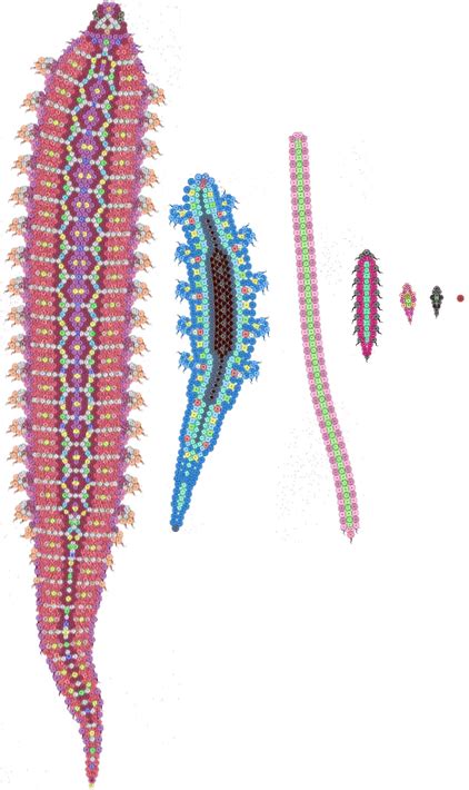 Size Comparison R Celllab