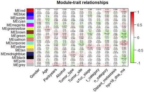 Heatmap Of The Correlation Between The Module Eigengenes And Clinical Download Scientific