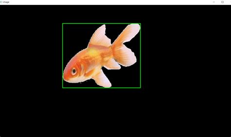 Github Vaishnav Mk Goldfish Detector A Goldfish Detector With Opencv
