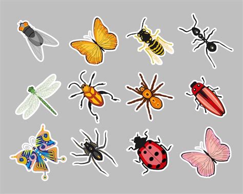 Premium Vector Insect Sticker Set Butterfly Ant Dragonfly Wasp Ladybug Beetle Spider