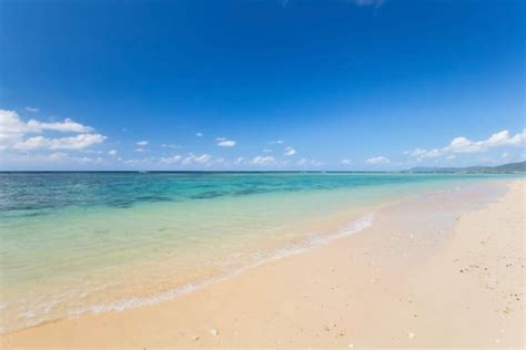 Japanese Sagging Breasts Jav Ria Sakuragi 8 Stable Diffusion Model