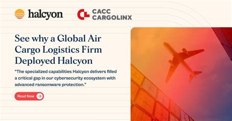 Infosec Security Cybersecurity Cyberattack Ransomware Halcyon