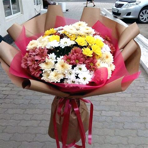 Купить Хризантемовый гигант Model №064