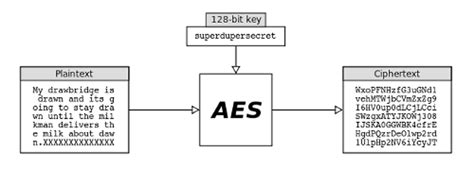 The Evolution And Implementation Of Encryption Across Layer 1 Networks