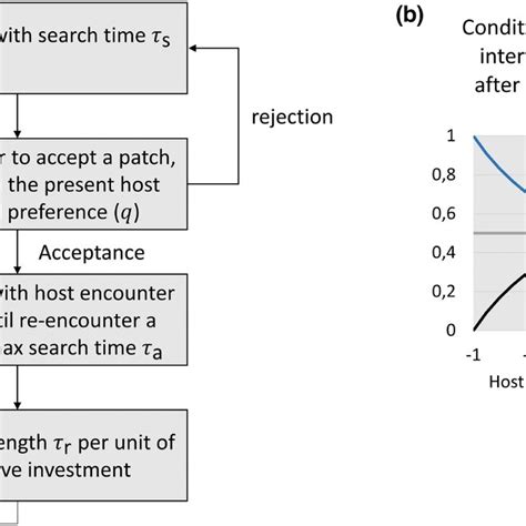 stages of parasitoid host‐searching behavior a and the effect of