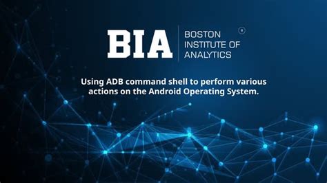 Developing A Simple Python Tool For Website Vulnerability Scanning Ppt