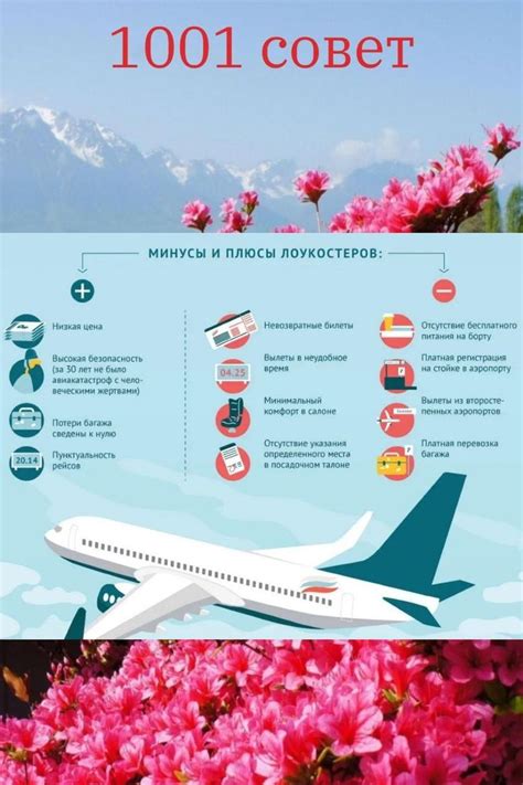 Минусы и плюсы в лоукостера Путешествия Полезные советы Аэропорты