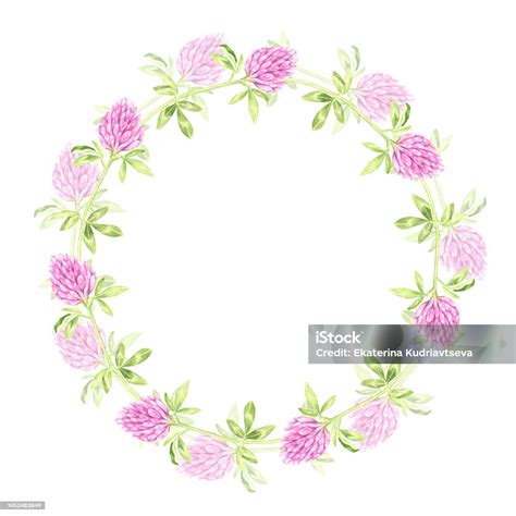 피는 클로버의 둥근 화환 성 패트릭의 날 수채화 그림입니다 흰색 배경에 격리되어 있습니다 씨앗 정원용 제품 스티커 유기농 제품 스티커의 디자인 패키지 0명에 대한 스톡 벡터