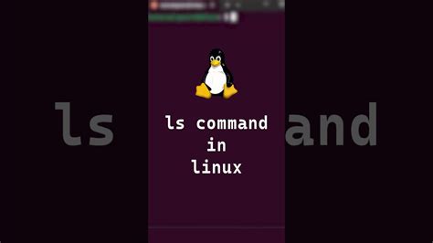 110 Basic Linux Commands To Master Ls Command Explained In 20 Seconds Shorts Linux Youtube