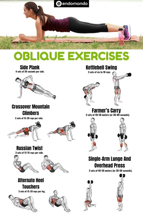 The Best Exercises To Sculpt Your Obliques Artofit