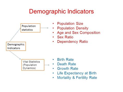 Definition And Interpretation Of Demographic Indices Like Birth Rate