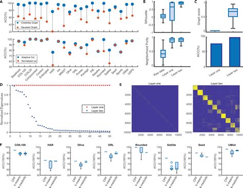 Global Understanding Via Local Extraction For Data Clustering And Visualization Patterns