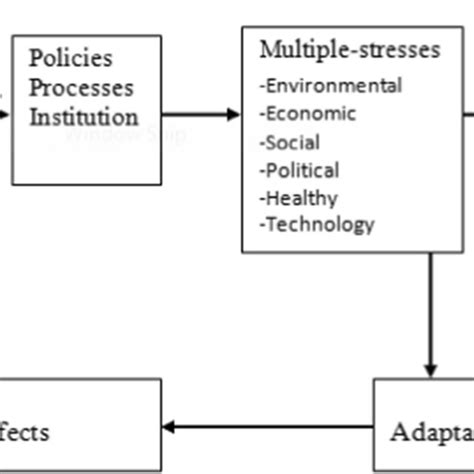 Sustainable Livelihood Framework Source Modified From Dfid 1999