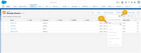 Salesforce List View Salesforce Faqs