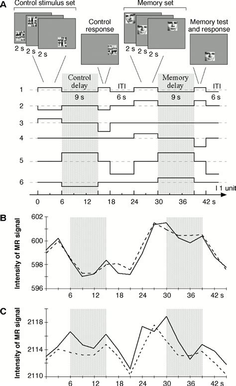 An Area Specialized For Spatial Working Memory In Human Frontal Cortex Science
