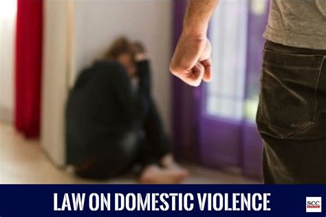 Law On Domestic Violence Protection Of Women From Domestic Violence