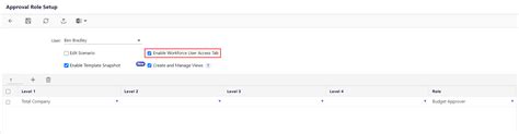 Approval Role Setup Enable Workforce User Access Tab