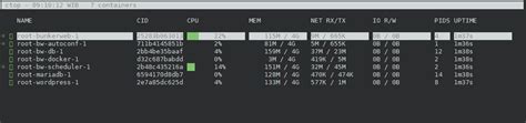 Monitor Docker Container Resource Usage With Ctop Sys Opsid