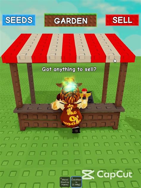 How Much Is Celestiberry Worth Youtube