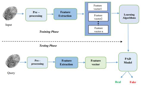 Liveness Detection Definition And Overview Antispoofing Wiki