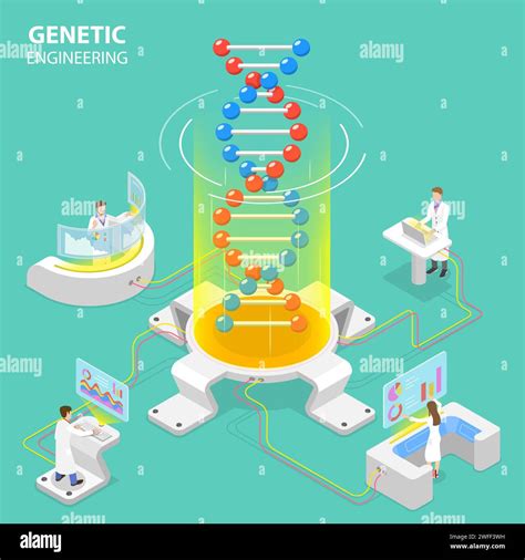 Isometric Flat Vector Concept Of Genetic Engineering DNA Structure Changing Medical