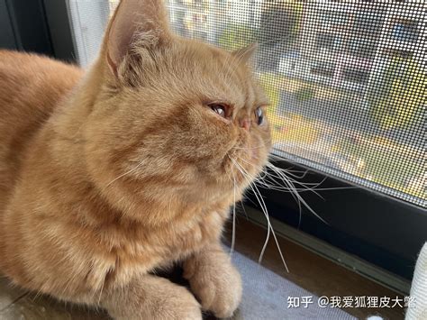 除了拨打110你还应该知道这些 知乎