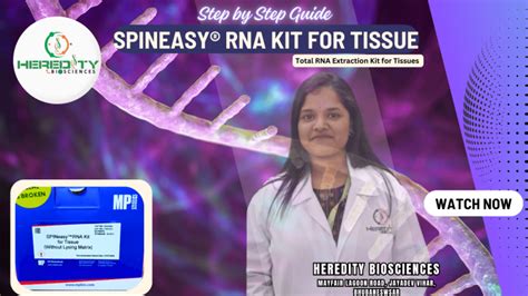 Rna Isolation By Mp Biomedical Kit Step By Step Procedure Spineasy