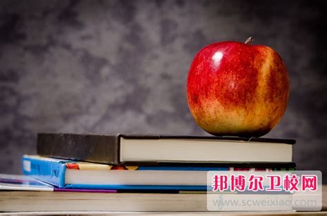 2023武汉排名前二的公办护理专业学校名单邦博尔卫校网