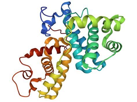 Predicting Protein Shapes Ais Role In Helping Solve A Real World