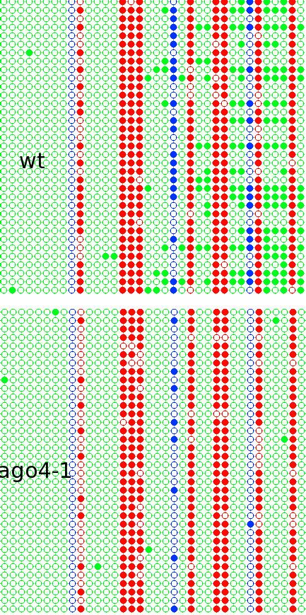 Dot Plot The Dot Plot Is A Quick Way To Summarize The Fate Of The Download Scientific Diagram