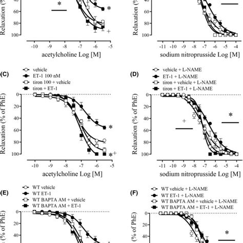 Concentration‐effect Curves For Ach 100 Pm ‐ 3 μm A C And E And