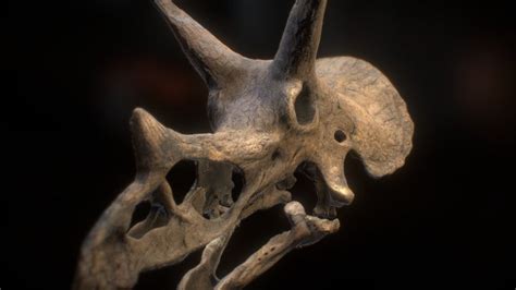 Macbeth Chart 3d Models Sketchfab