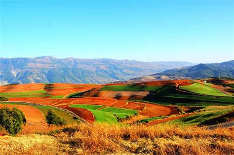 红土地风景区 云南红土地风景区 石林风景区 大山谷图库