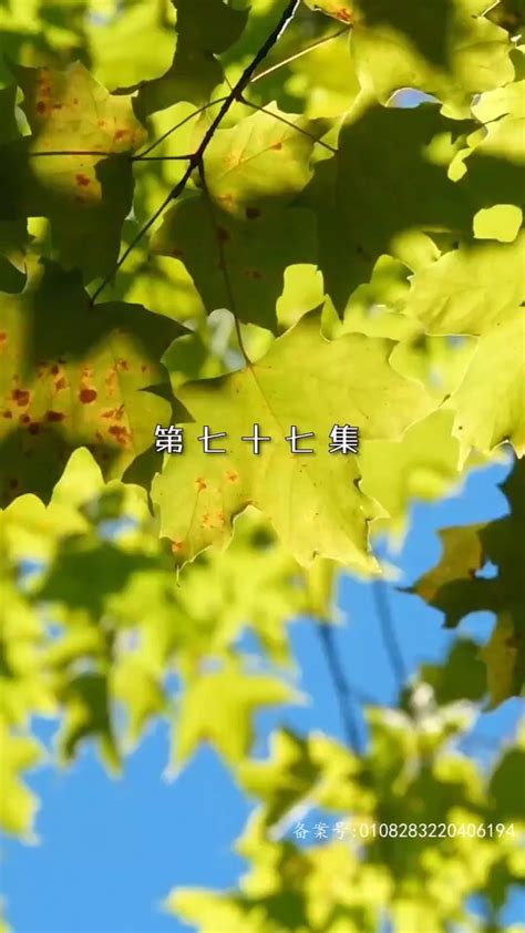 霍少闪婚后竟成了娇娇公主（86集），大结局已完结高清1080p在线观看平台腾讯视频
