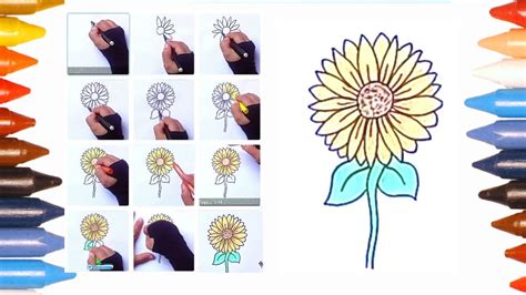 Flower Drawing How To Draw A Flower Colorful Flower Drawing YouTube