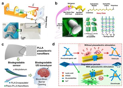 Piezoelectric Nanofibers And Devices Based On Biopolymers A