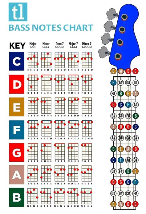 The All You Need Guide To Notes On The Bass Fretboard Teds List