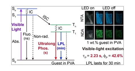 Efficient And Ultralong Room Temperature Phosphorescence From Isolated Molecules Under Visible