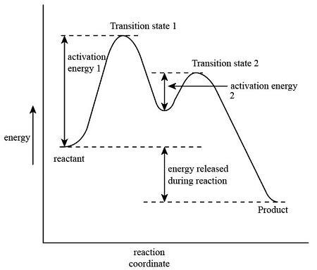 Enzyme Graph Transition State
