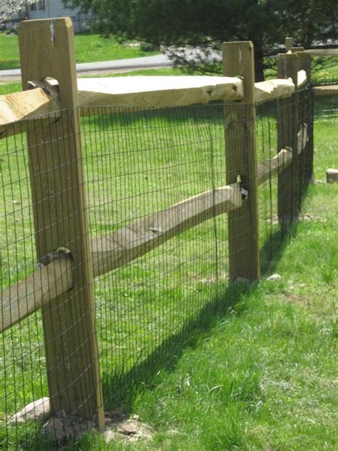 How To Keep Dog In Yard Without Fence Home Design Ideas